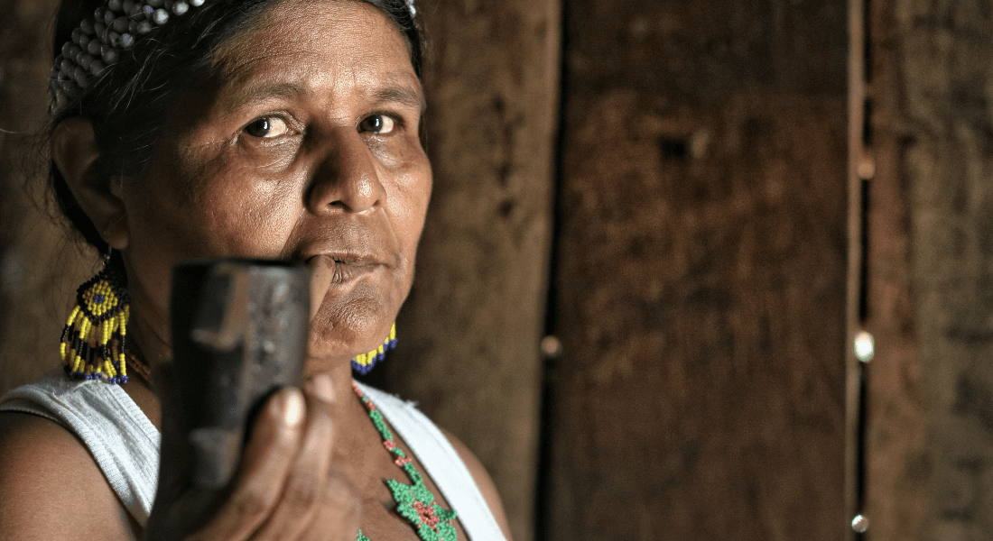 Livro mostra saberes ancestrais das curandeiras do litoral do Paraná