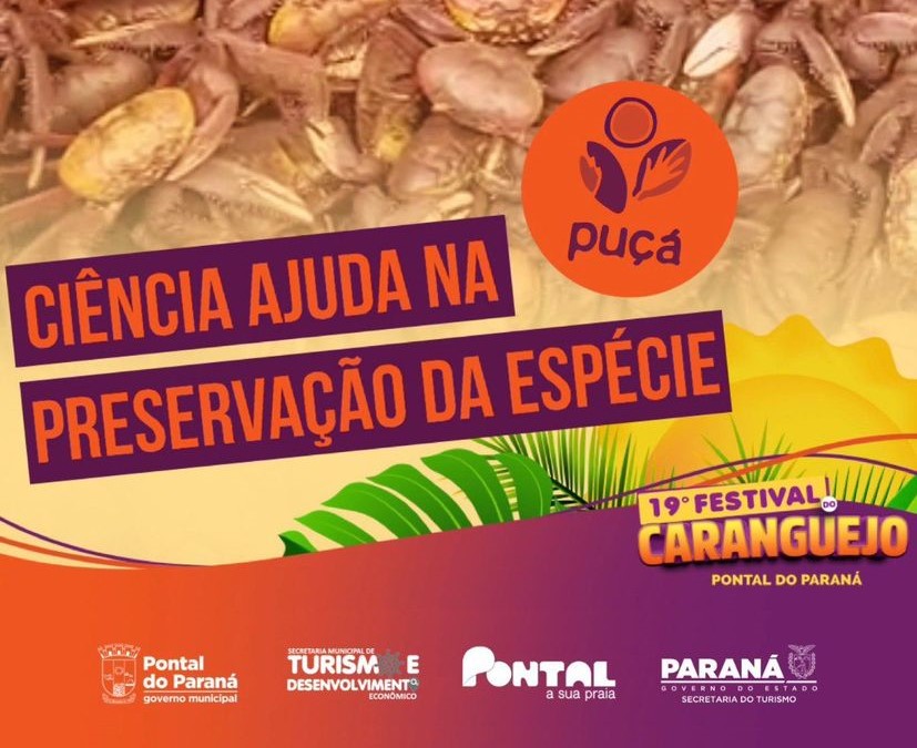 Puca-capa - Correio do Litoral